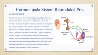 KELOMPOK 1 SISTEM REPRODUKSI PRIA fix..pptx