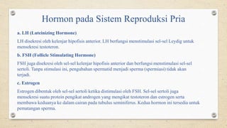 KELOMPOK 1 SISTEM REPRODUKSI PRIA fix..pptx