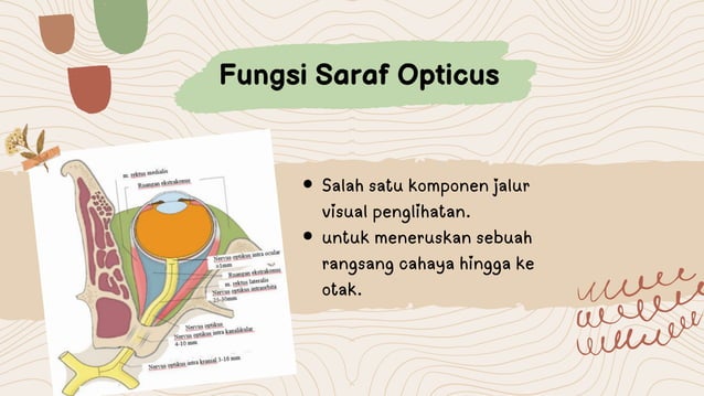 Kelompok 1 tugas dp3 saraf 1.pdf