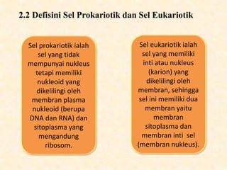 BIOLOGI SEL_KELOMPOK 1_KELAS 1J_TUGAS PPT_Sel Prokariotik dan Sel ...