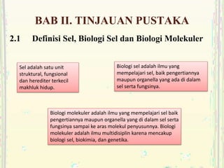 BIOLOGI SEL_KELOMPOK 1_KELAS 1J_TUGAS PPT_Sel Prokariotik dan Sel ...
