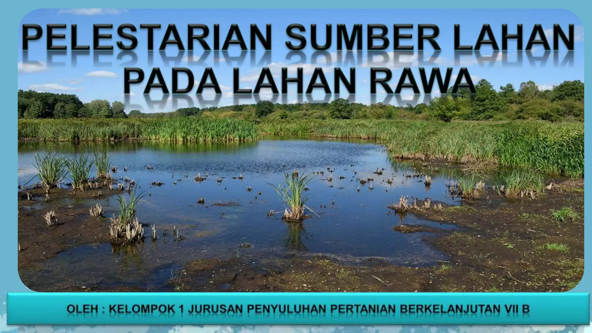 [New Upload] Kelompok 1 Tugas Pelestarian Sumber Daya Lahan Rawa | PPTX