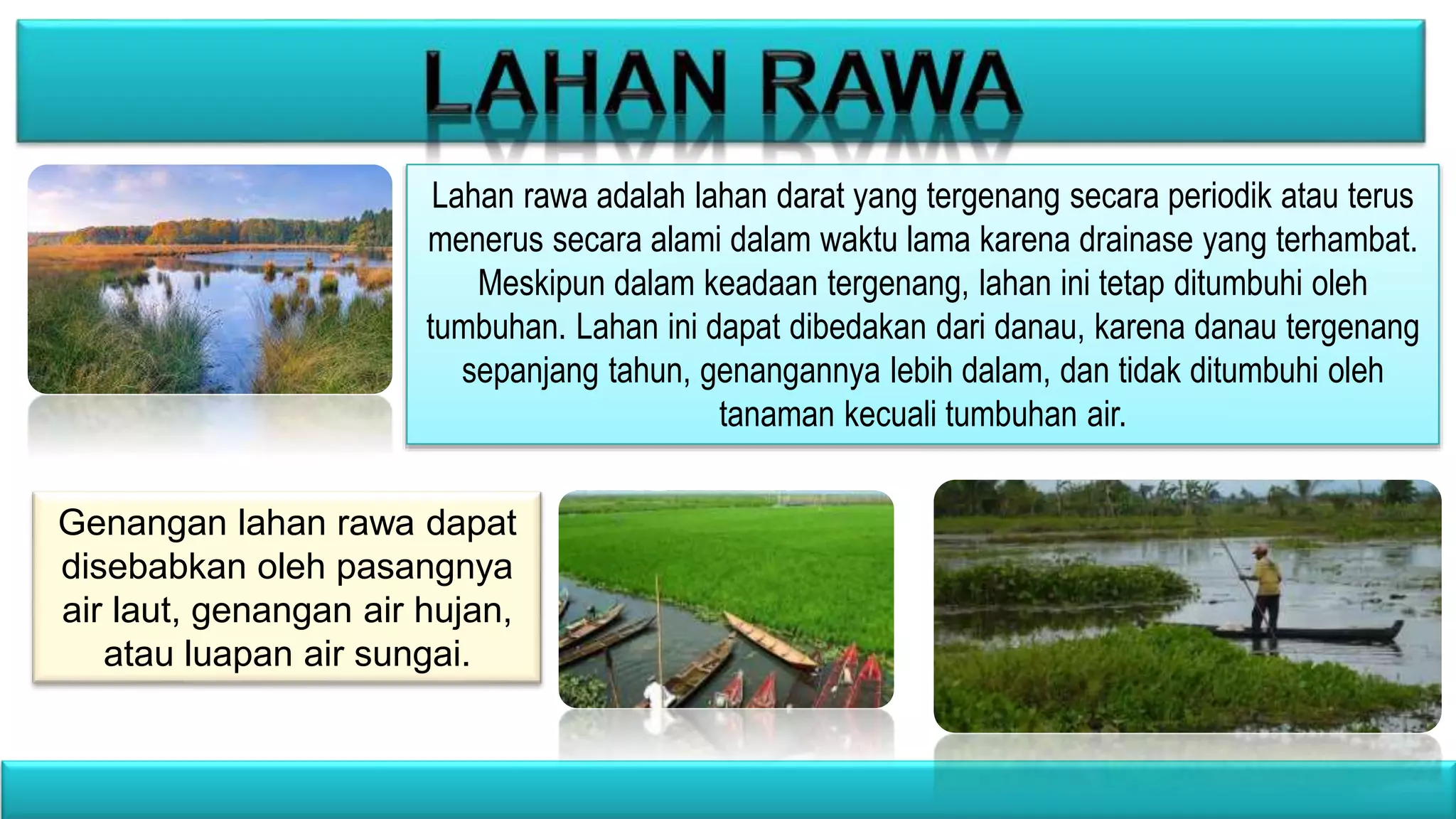 [New Upload] Kelompok 1 Tugas Pelestarian Sumber Daya Lahan Rawa | PPTX