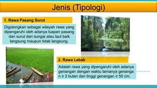 [New Upload] Kelompok 1 Tugas Pelestarian Sumber Daya Lahan Rawa | PPTX