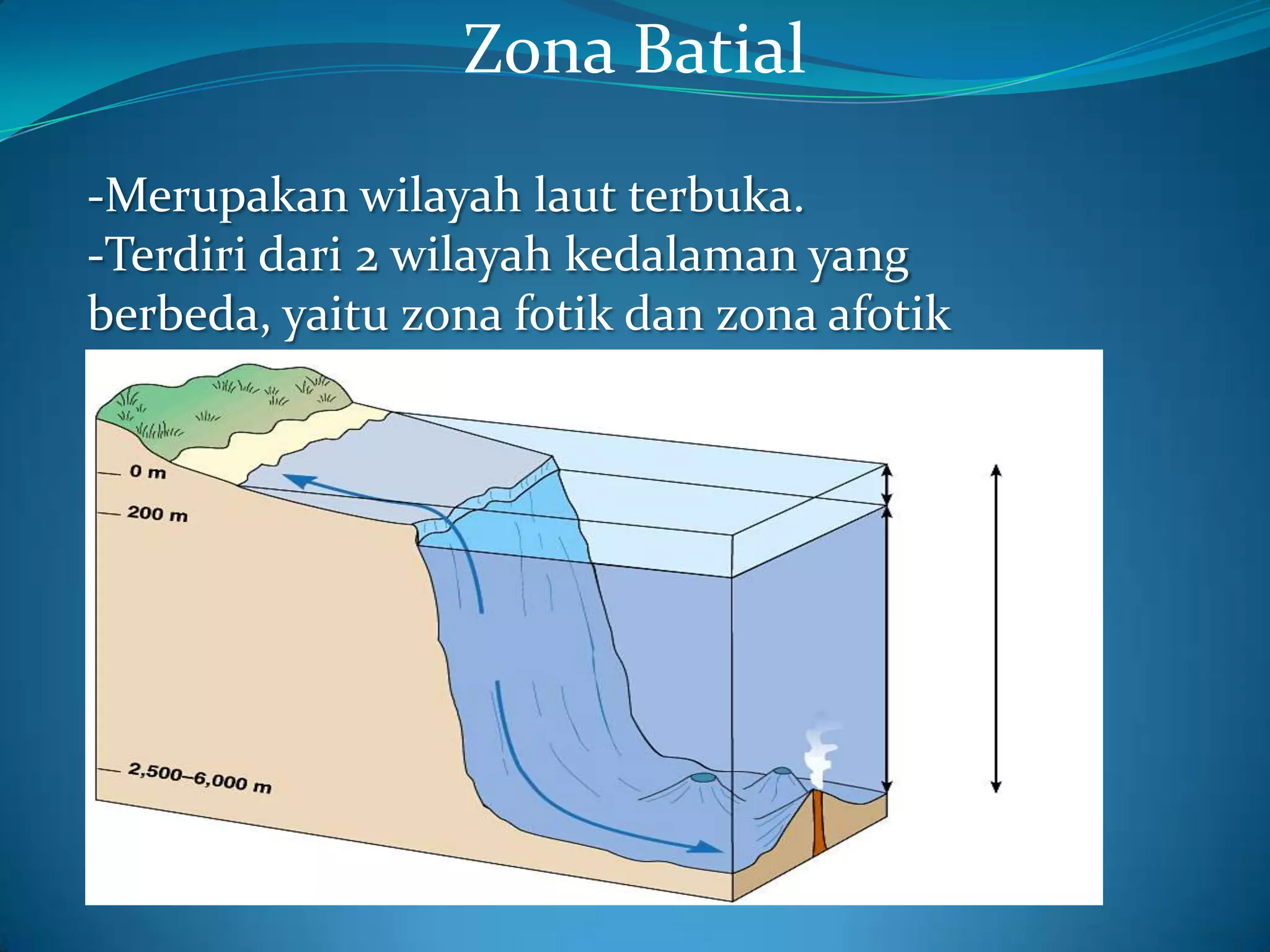 ekosistem air tawar | PPTX