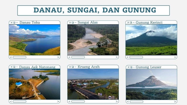 Flora dan Fauna Sumatera&Jawa | PPTX
