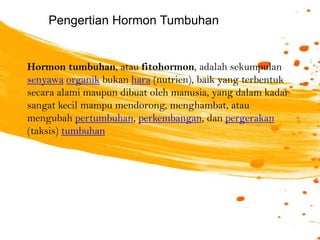 Hormon tumbuhan | PPTX