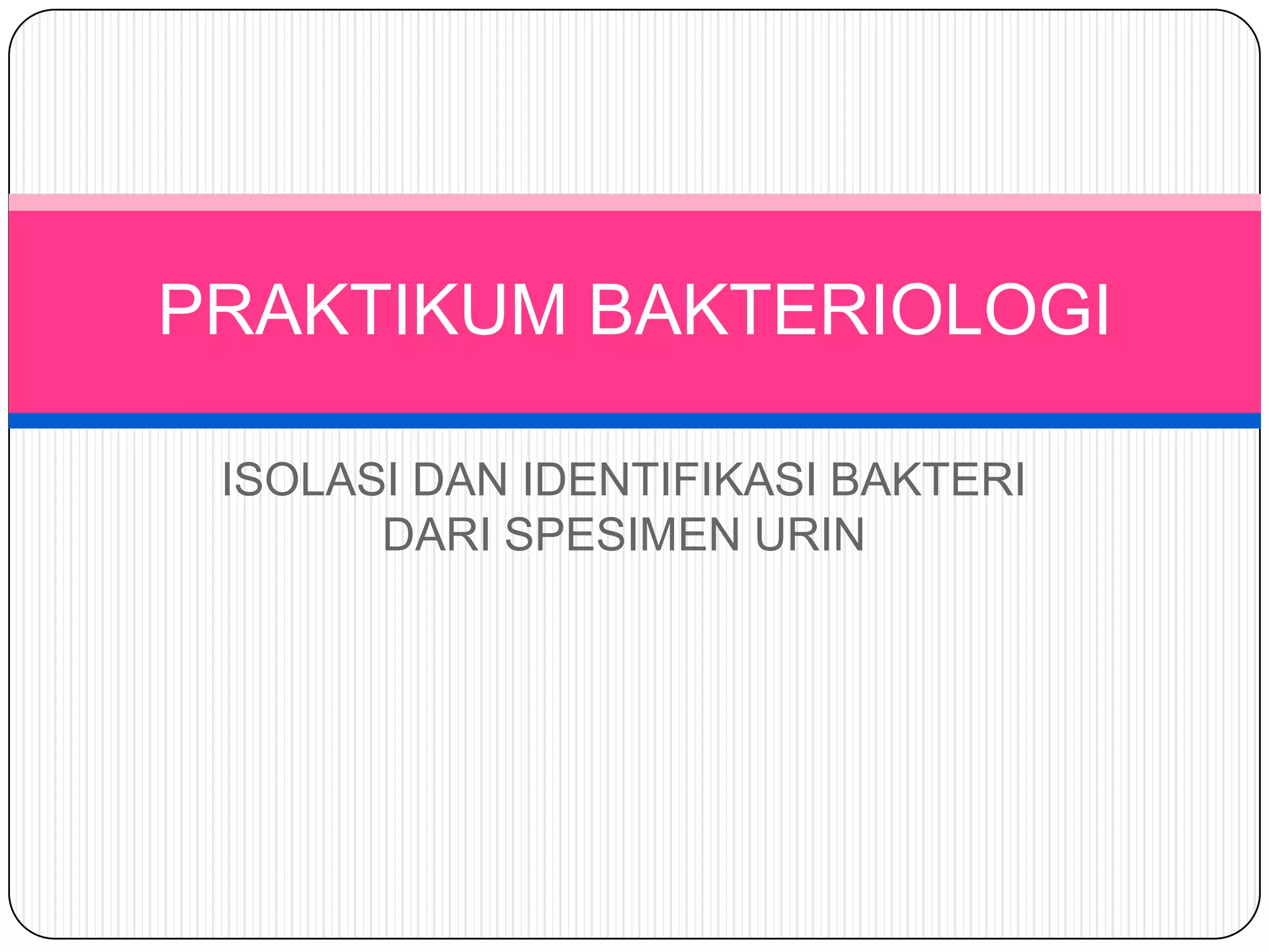 Isolasi bakteri pada sampel urin | PPTX