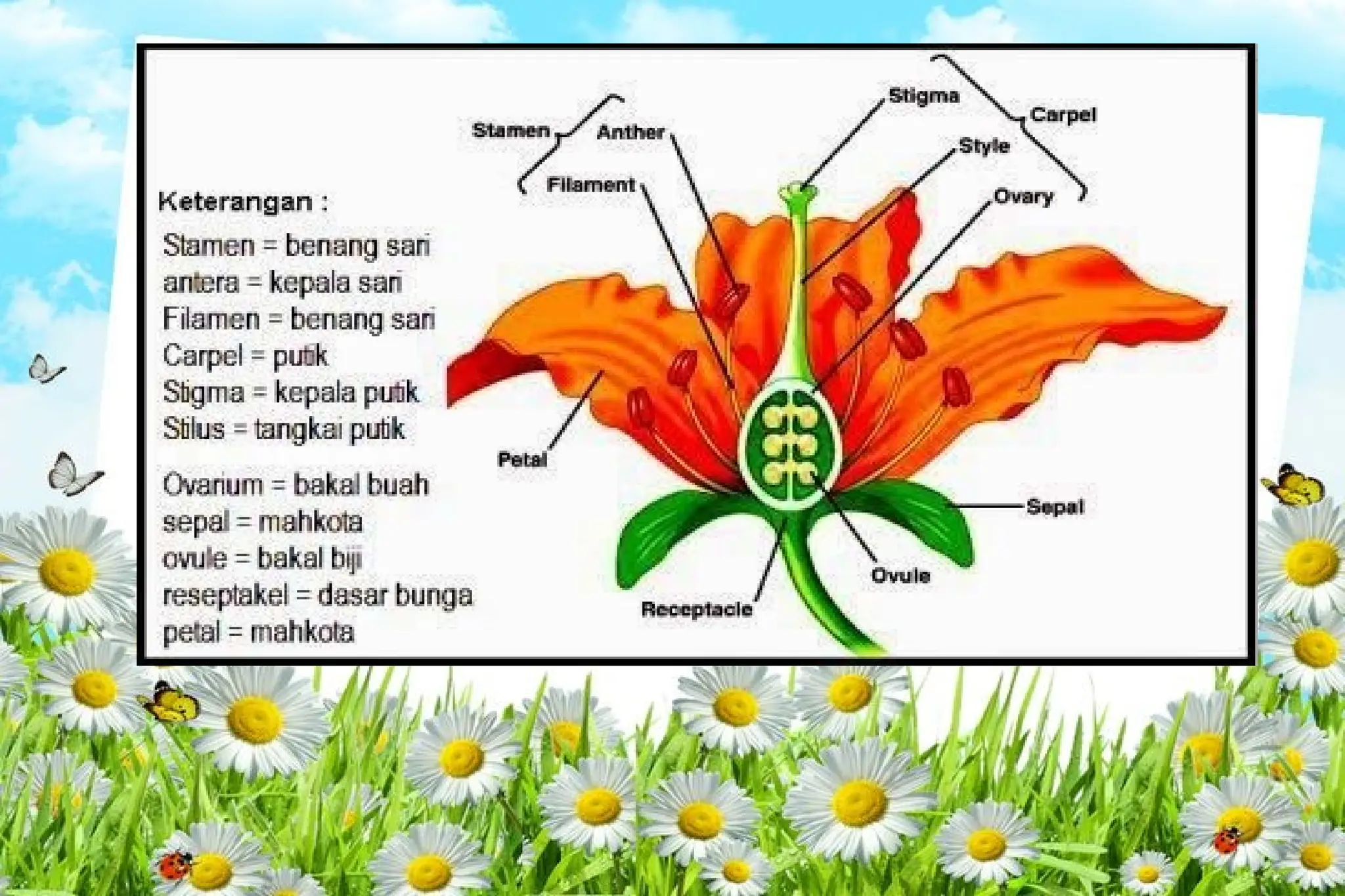 kelompok 2 TUGAS BELAJAR KELOMPOK SM.pptx
