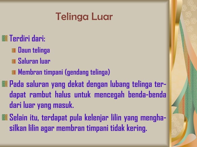 indera pendengaran | PPT