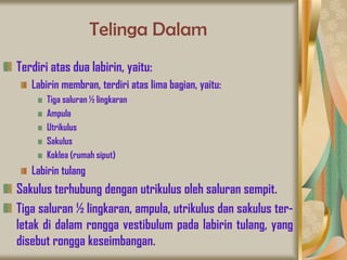 indera pendengaran | PPT