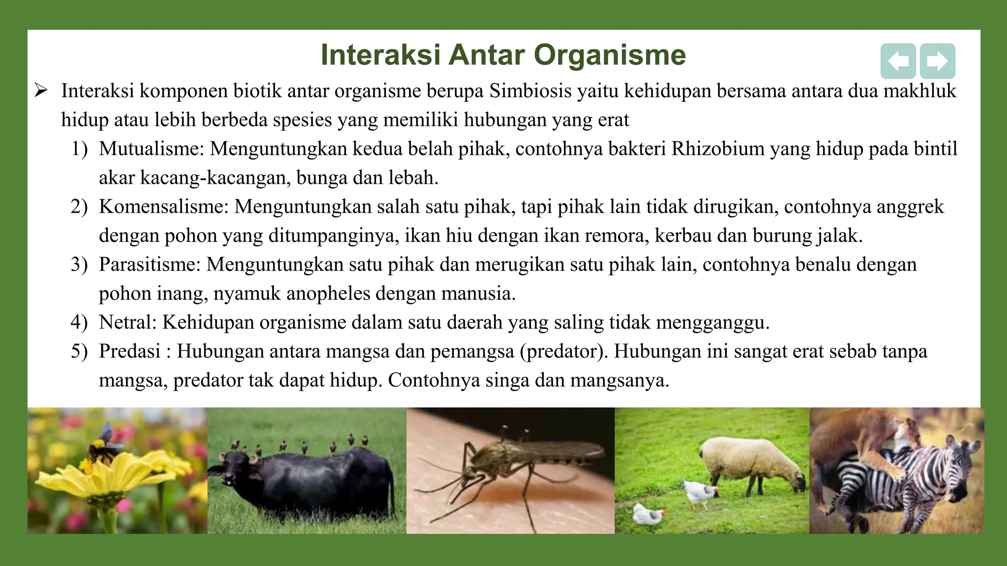 Kelompok 2A_Ekosistem.pptx