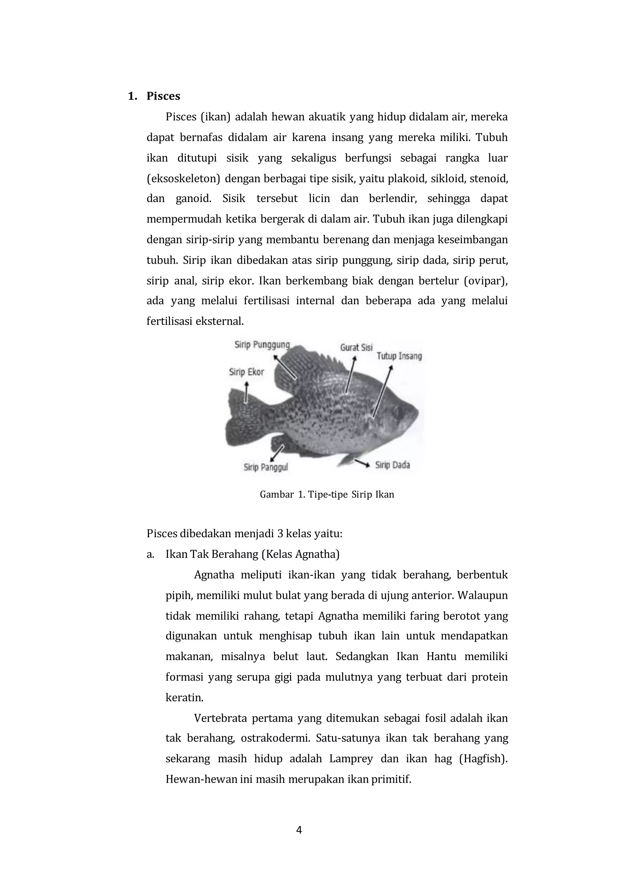 KELOMPOK 2_ANCESTOR VERTEBRATA_PB 3C.docx