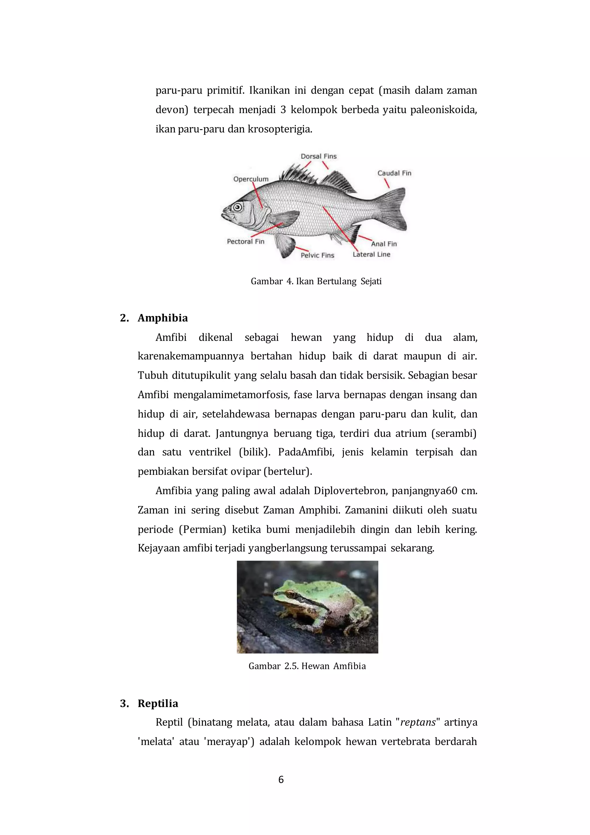 KELOMPOK 2_ANCESTOR VERTEBRATA_PB 3C.docx