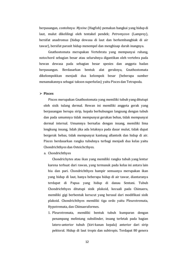 KELOMPOK 2_ANCESTOR VERTEBRATA_PB 3C.docx
