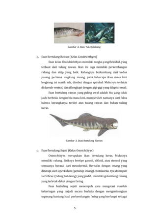 KELOMPOK 2_ANCESTOR VERTEBRATA_PB 3C.docx