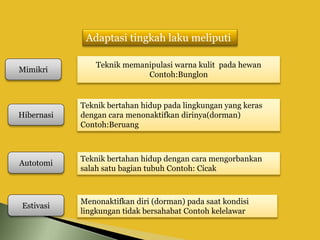 Kelompok 2b hewan | PPTX