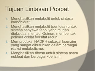 BIOKIMIA | PPTX