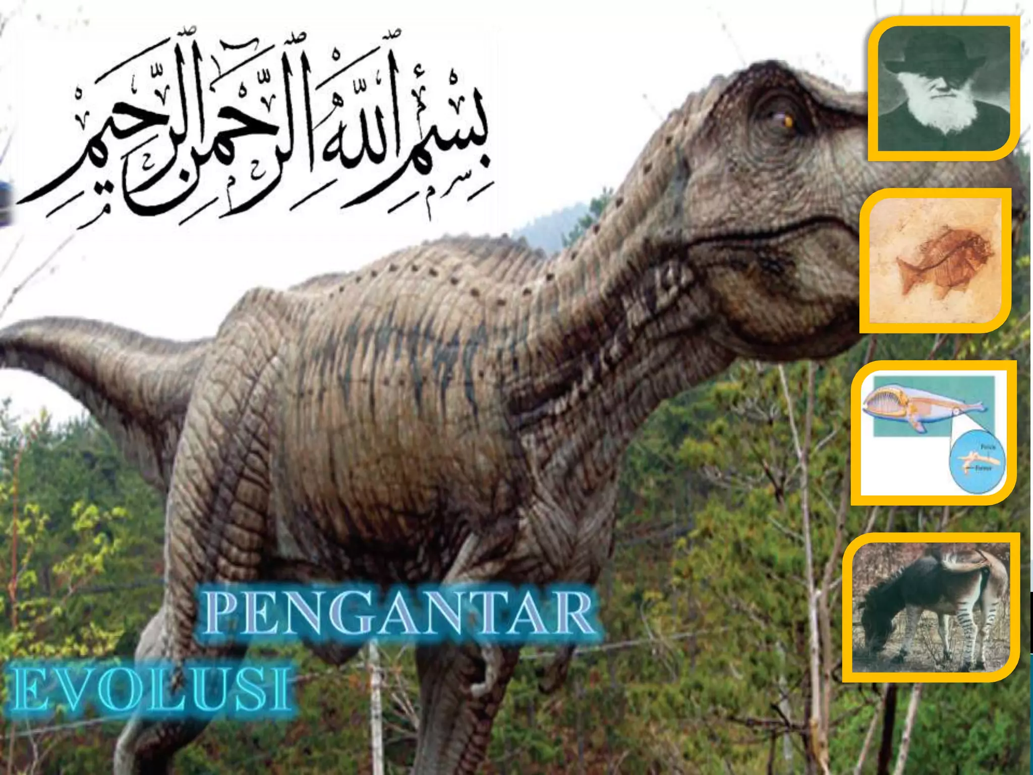 Kelompok 2b evolusi | PPTX