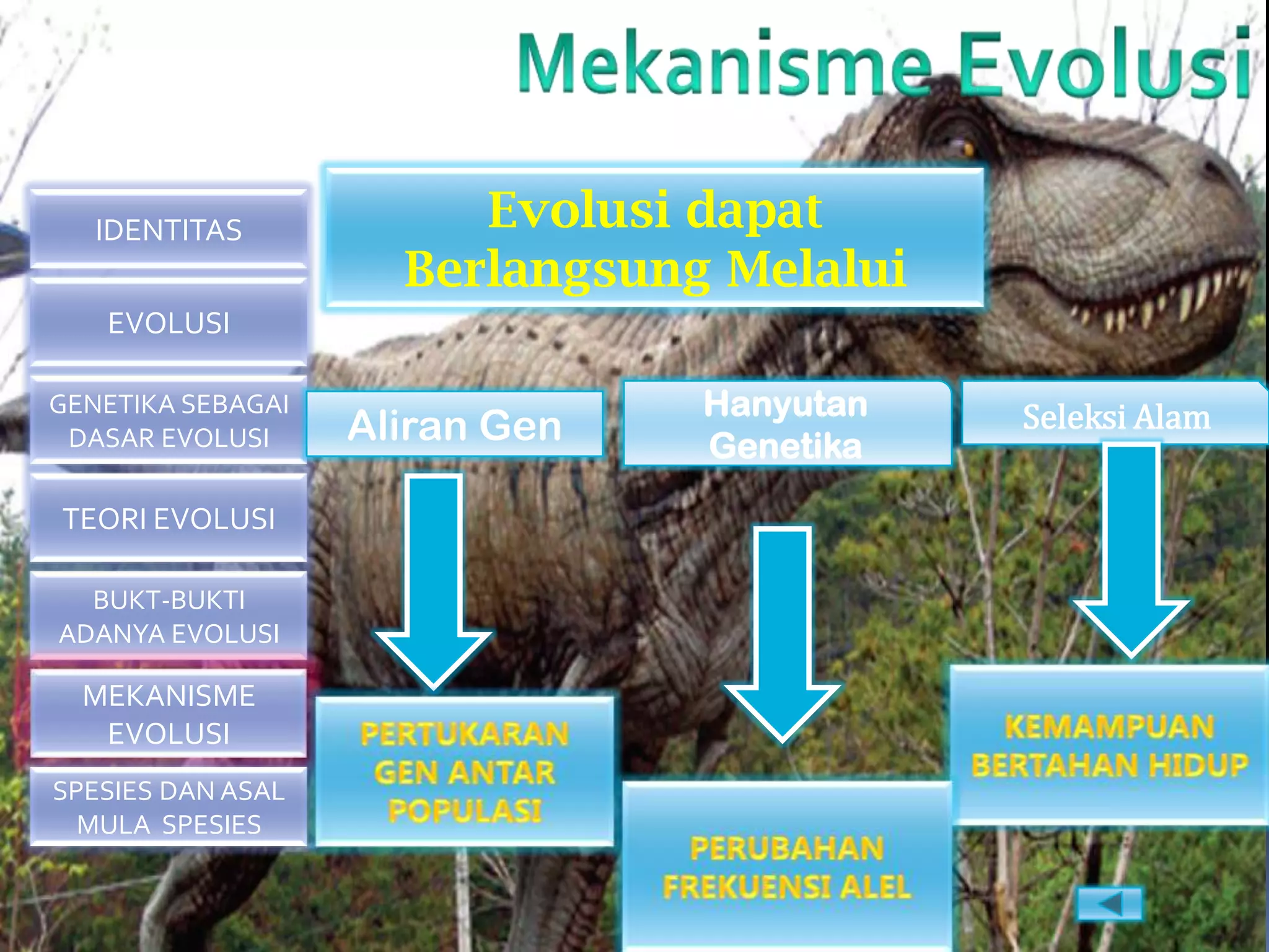 Kelompok 2b evolusi | PPTX