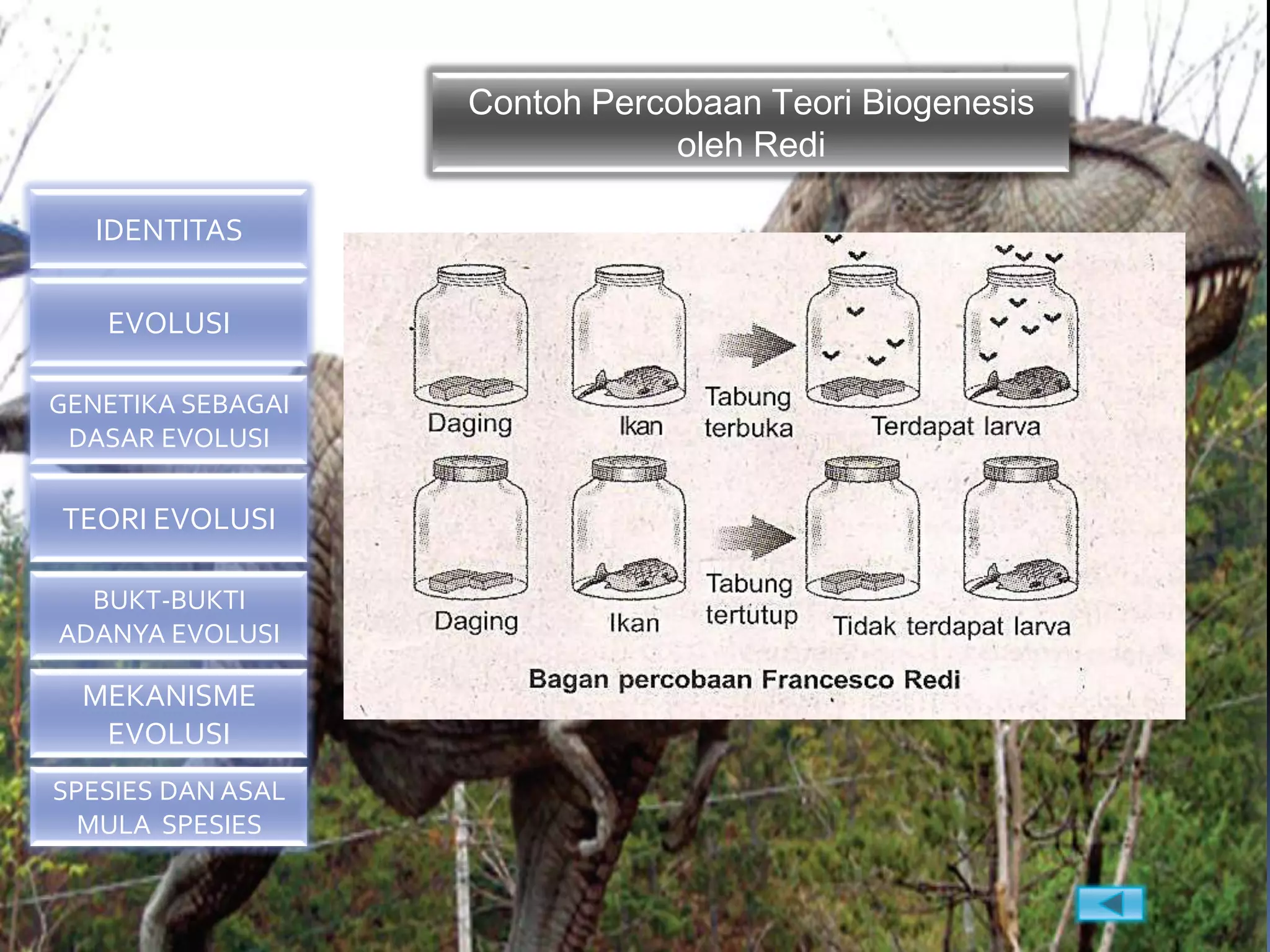 Kelompok 2b evolusi | PPTX