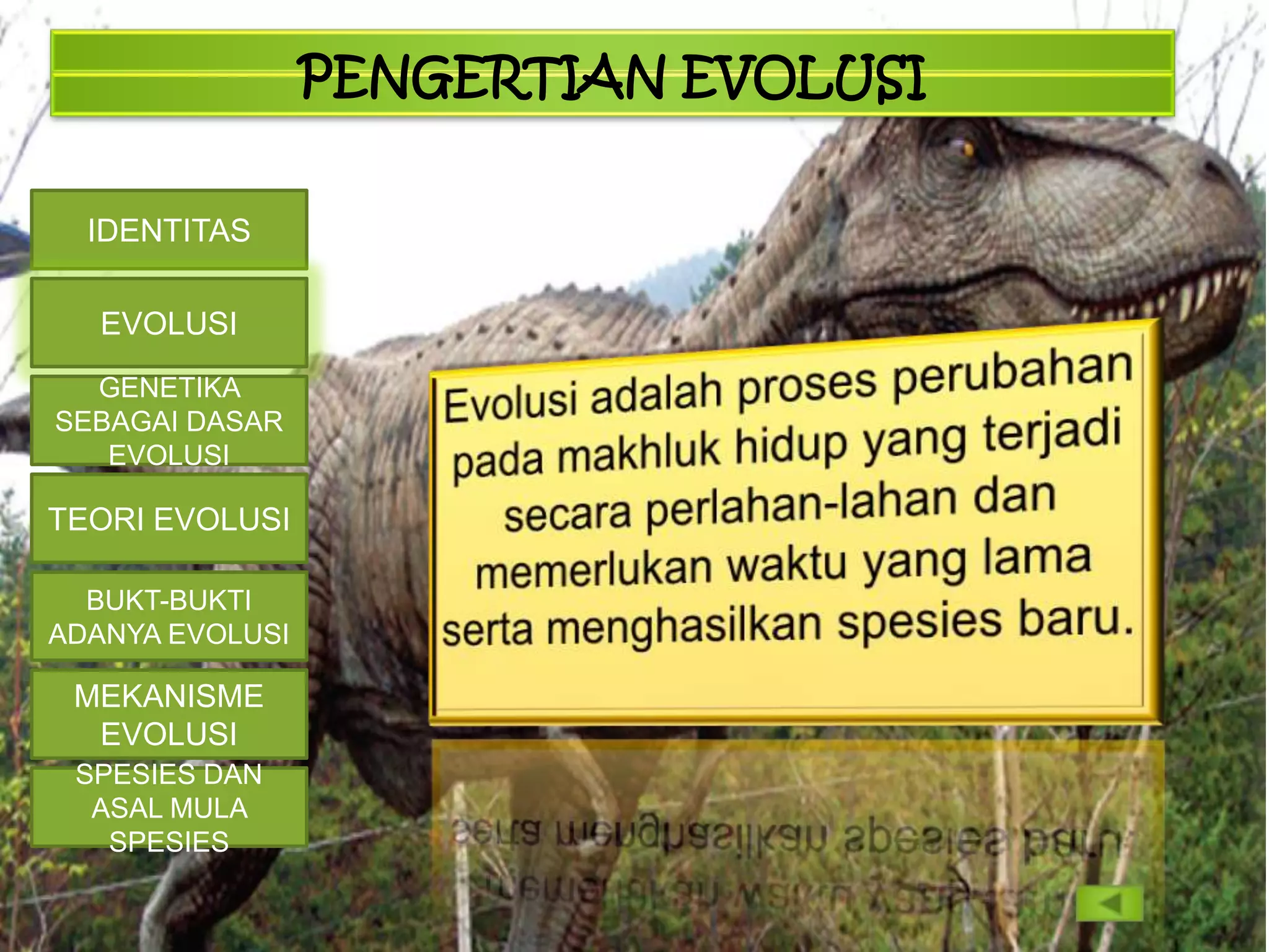 Kelompok 2b evolusi | PPTX