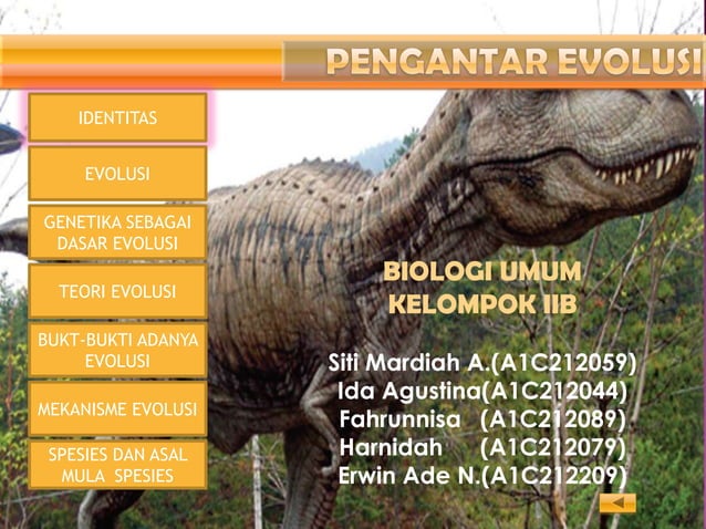 Kelompok 2b evolusi | PPT | Free Download