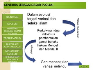 Kelompok 2b evolusi | PPTX