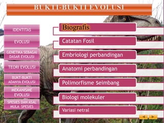 Kelompok 2b evolusi | PPTX