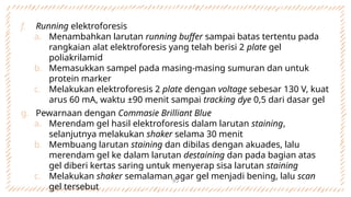 Kelompok 2_Fraksinasi & Pemisahan_Fitokimia 1-C.pptx