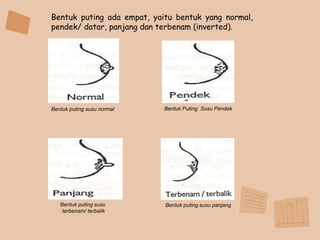 KELOMPOK 2 GLANDULA MAMMAE.pptx