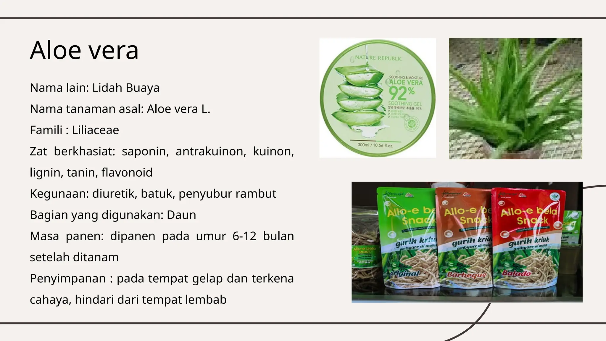 Kelompok 2 Glikosida bagian 1 08-04-23.pptx