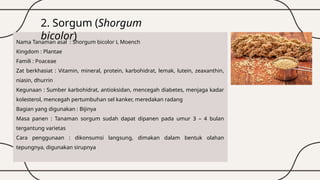 Kelompok 2 Glikosida bagian 1 08-04-23.pptx