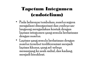 Megagametogenesis dan Megasporogenesis Lilium sp. | PPT