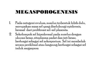Megagametogenesis dan Megasporogenesis Lilium sp. | PPT