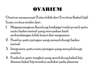 Megagametogenesis dan Megasporogenesis Lilium sp. | PPT