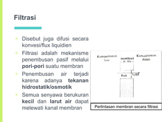 Kelompok 2 membran biologis dan mekanisme transport obat | PPTX