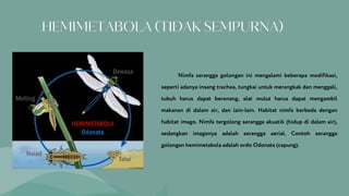 Kelompok 2 Metamorfosis Pada Serangga_20231212_090212_0000.pdf