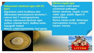 MIKOLOGY by Purnama Sinta Dasril, dkk. | PPTX