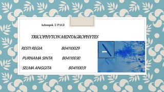 MIKOLOGY by Purnama Sinta Dasril, dkk. | PPTX