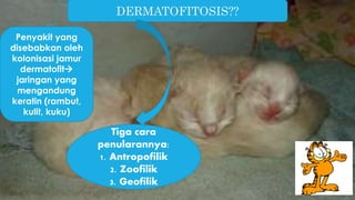 Kelompok 2 pagi | PPT