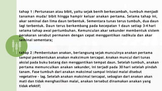 KELOMPOK 2 PANGAN UTAMA AGRO A TANAMAN PADI fix.pptx