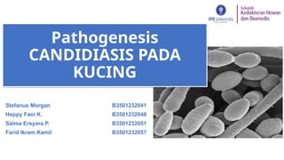 Kelompok_2_Patogenesis_Candidiasis_(1)[2][1] (1).pptx