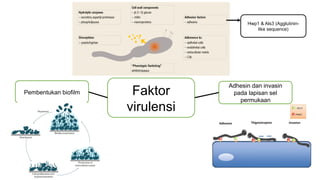 Kelompok_2_Patogenesis_Candidiasis_(1)[2][1] (1).pptx