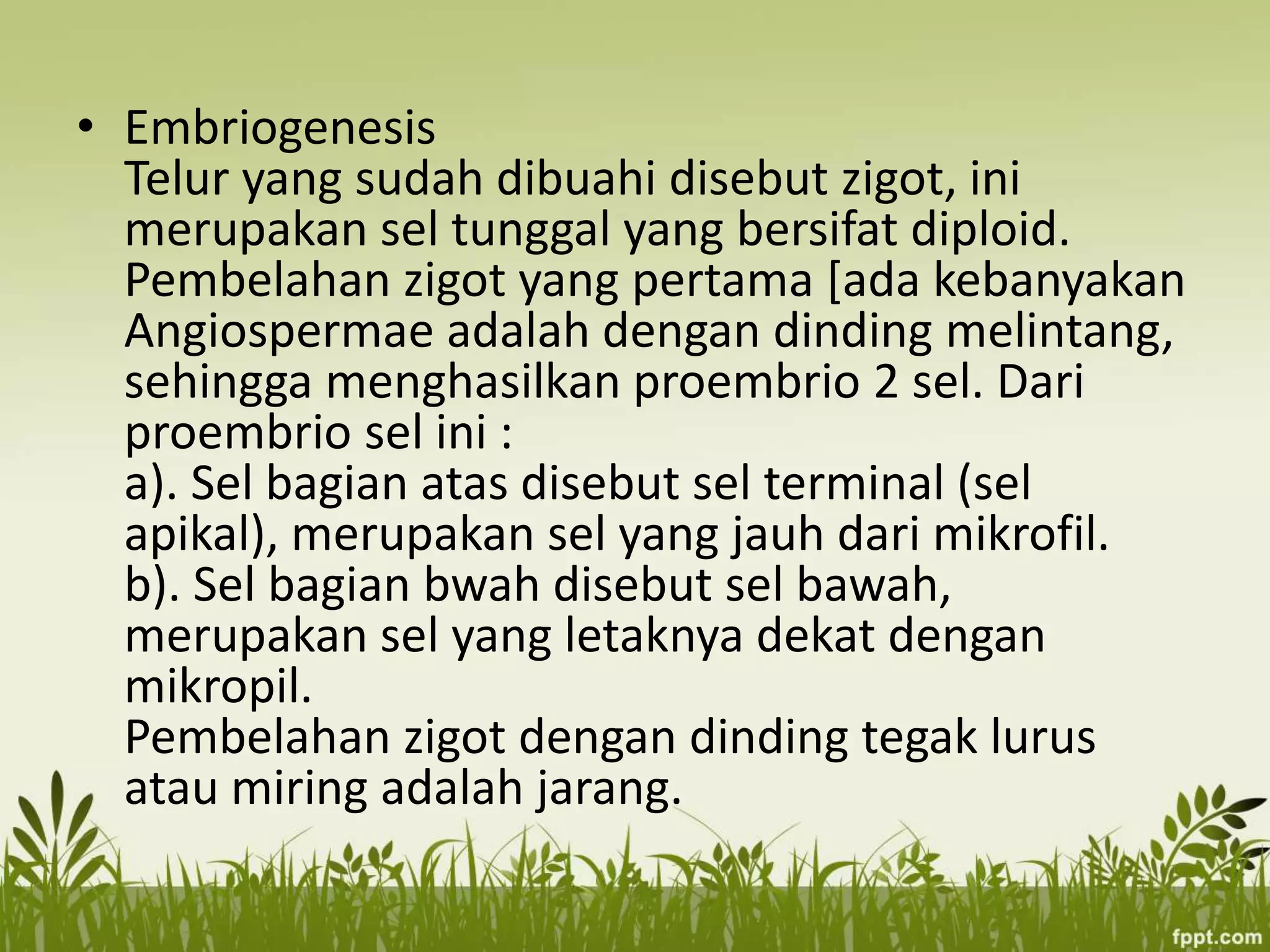 PPT Embriologi Tumbuhan - Perkembangan Embrio dan Biji | PPTX