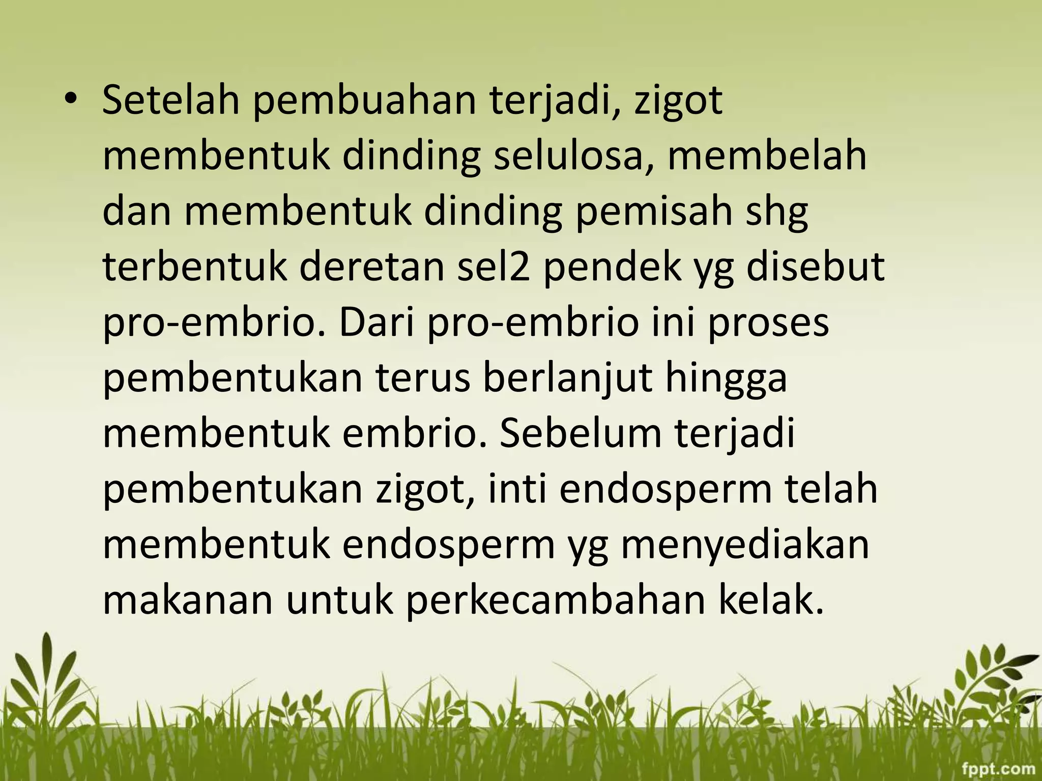 PPT Embriologi Tumbuhan - Perkembangan Embrio dan Biji | PPTX