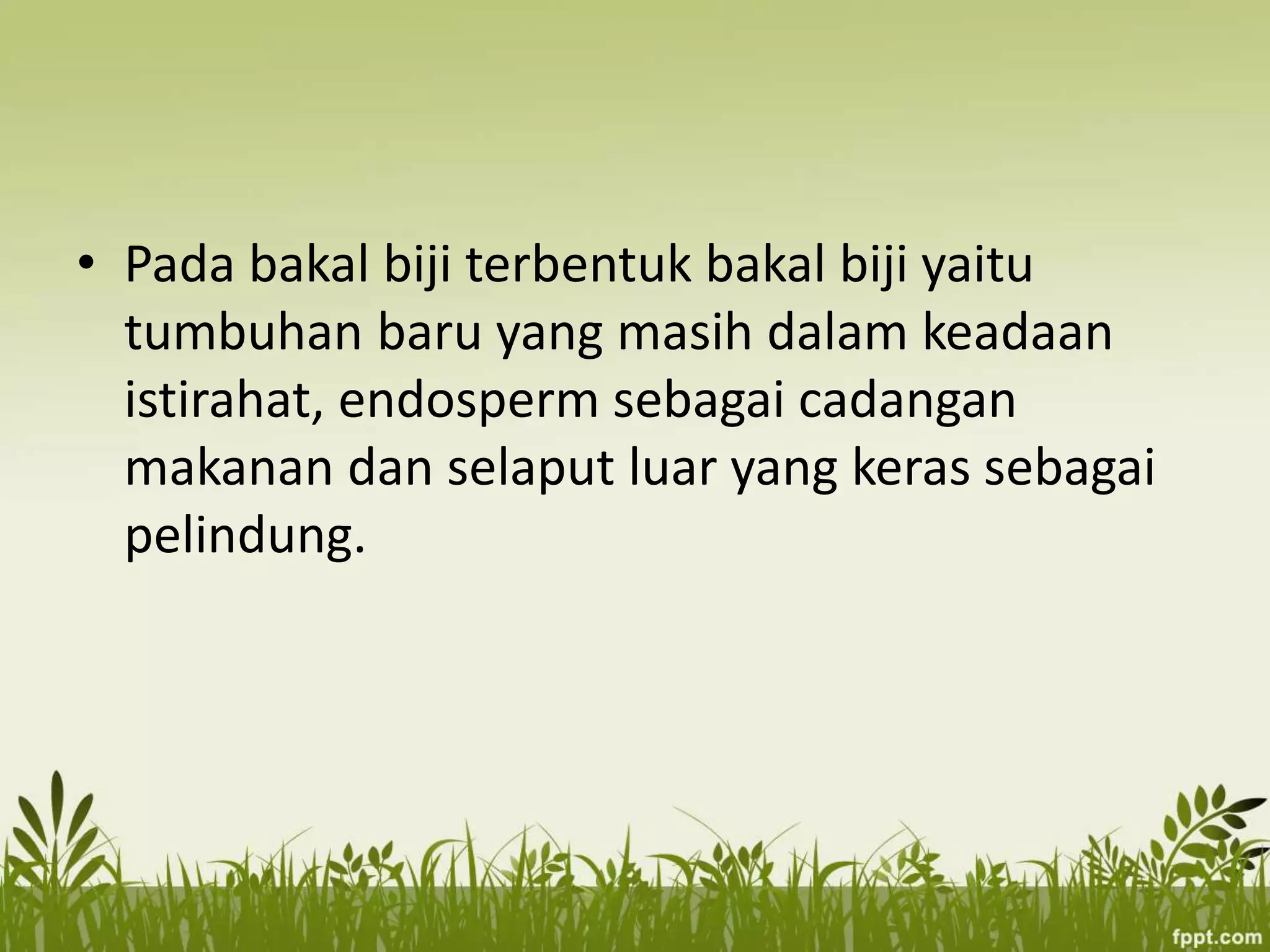 PPT Embriologi Tumbuhan - Perkembangan Embrio dan Biji | PPTX