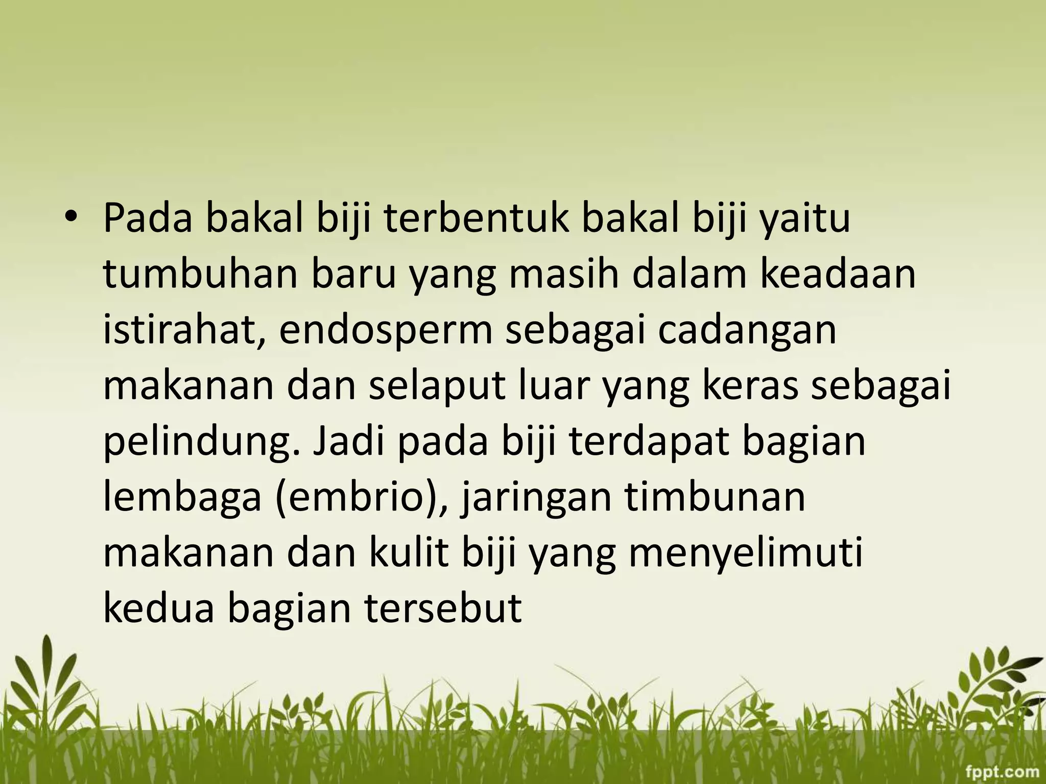 PPT Embriologi Tumbuhan - Perkembangan Embrio dan Biji | PPTX