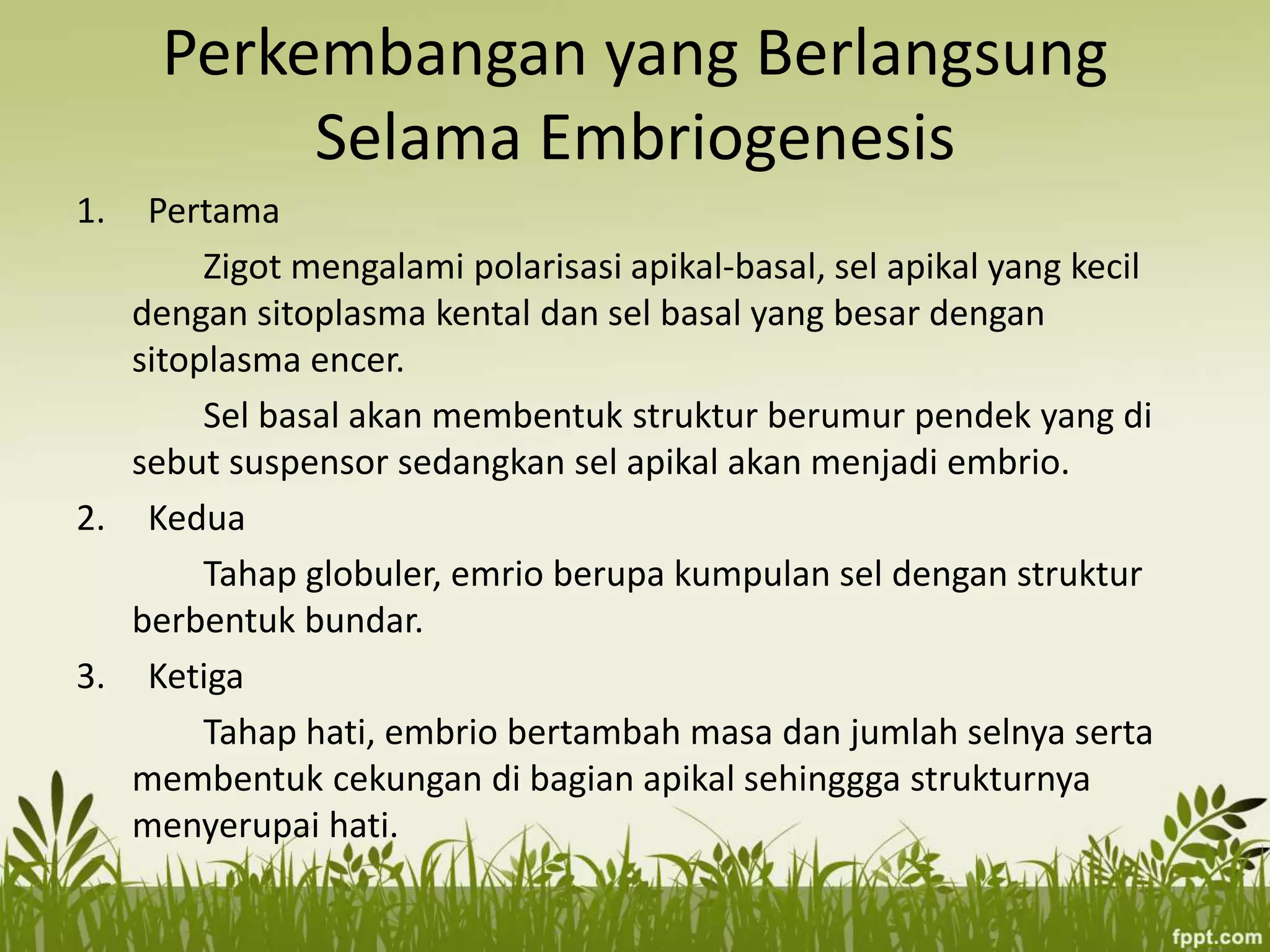 PPT Embriologi Tumbuhan - Perkembangan Embrio dan Biji | PPTX