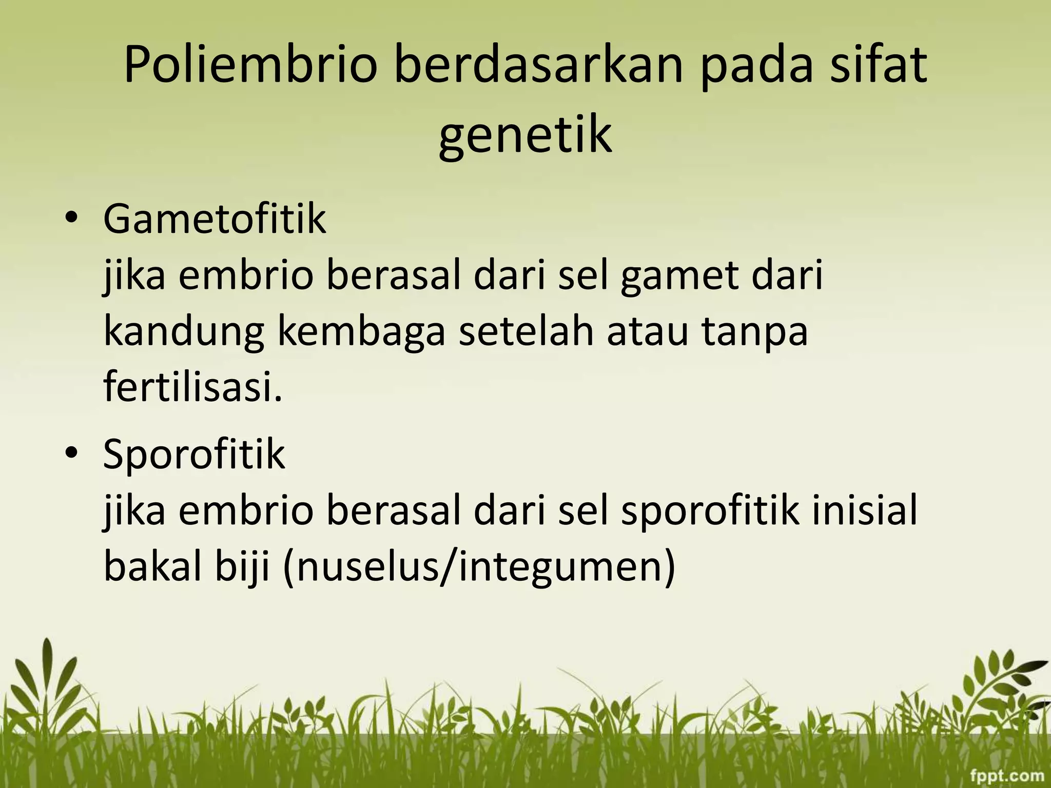 PPT Embriologi Tumbuhan - Perkembangan Embrio dan Biji | PPTX